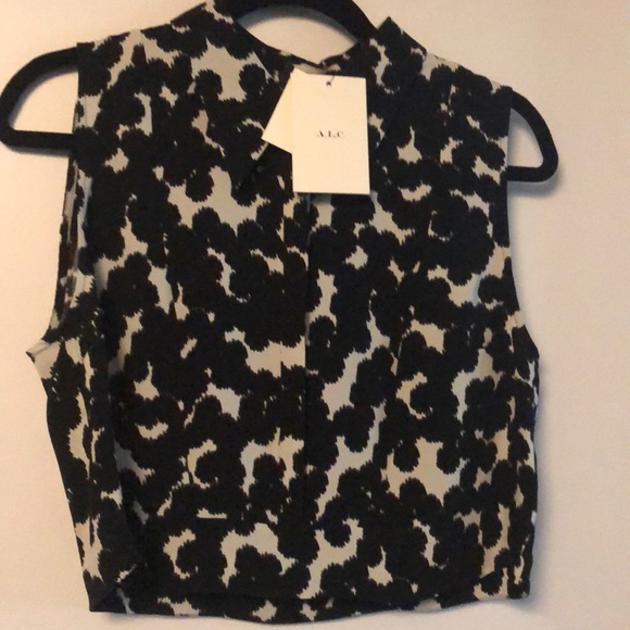 A.L.C. | Other | Alc Blouse And Skirt | Poshmark